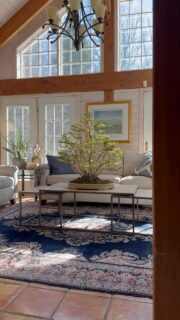 Arranging lilies: Tips and ideas for creating stunning lily bouquets ...