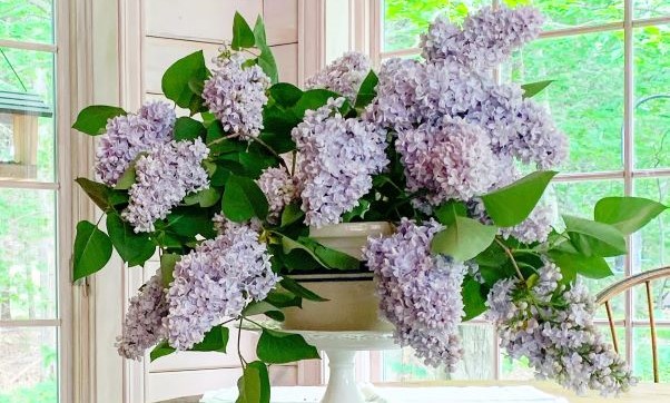 The blooming success of beautiful lilac arrangements - Country Home ...